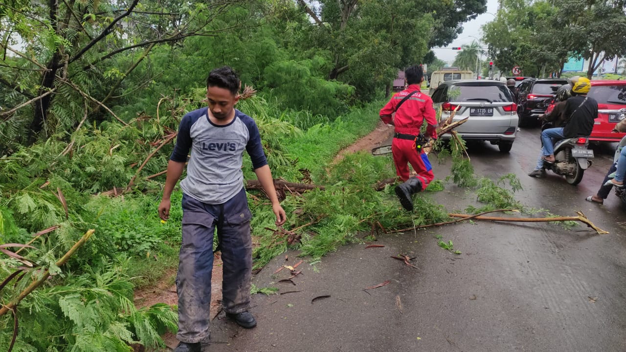 CUACA EKSTRIM HARI INI ESEKUSI 5 TITIK POHON TUMBANG • DINAS PEMADAM ...